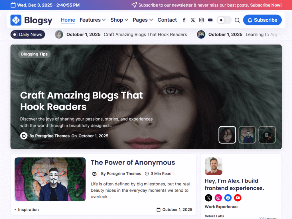 Blogsy—Ultimate WordPress Theme for Bloggers - Peregrine Themes